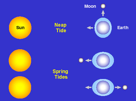 Tides – Science Projects