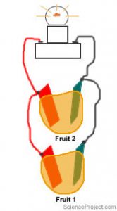 Potato Battery – Science Projects