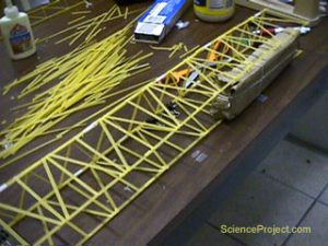 Designing a strong bridge – Science Projects
