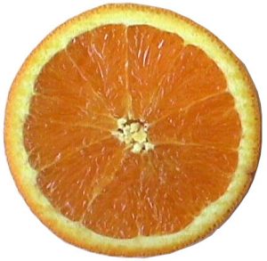 Inside Fruit – Science Projects