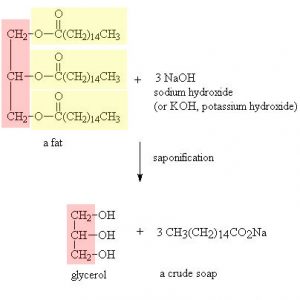 A study of saponification reactions – Science Projects