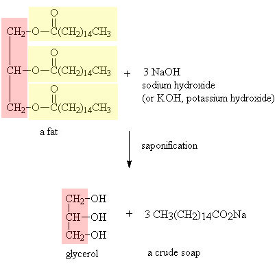 A study of saponification reactions – Science Projects